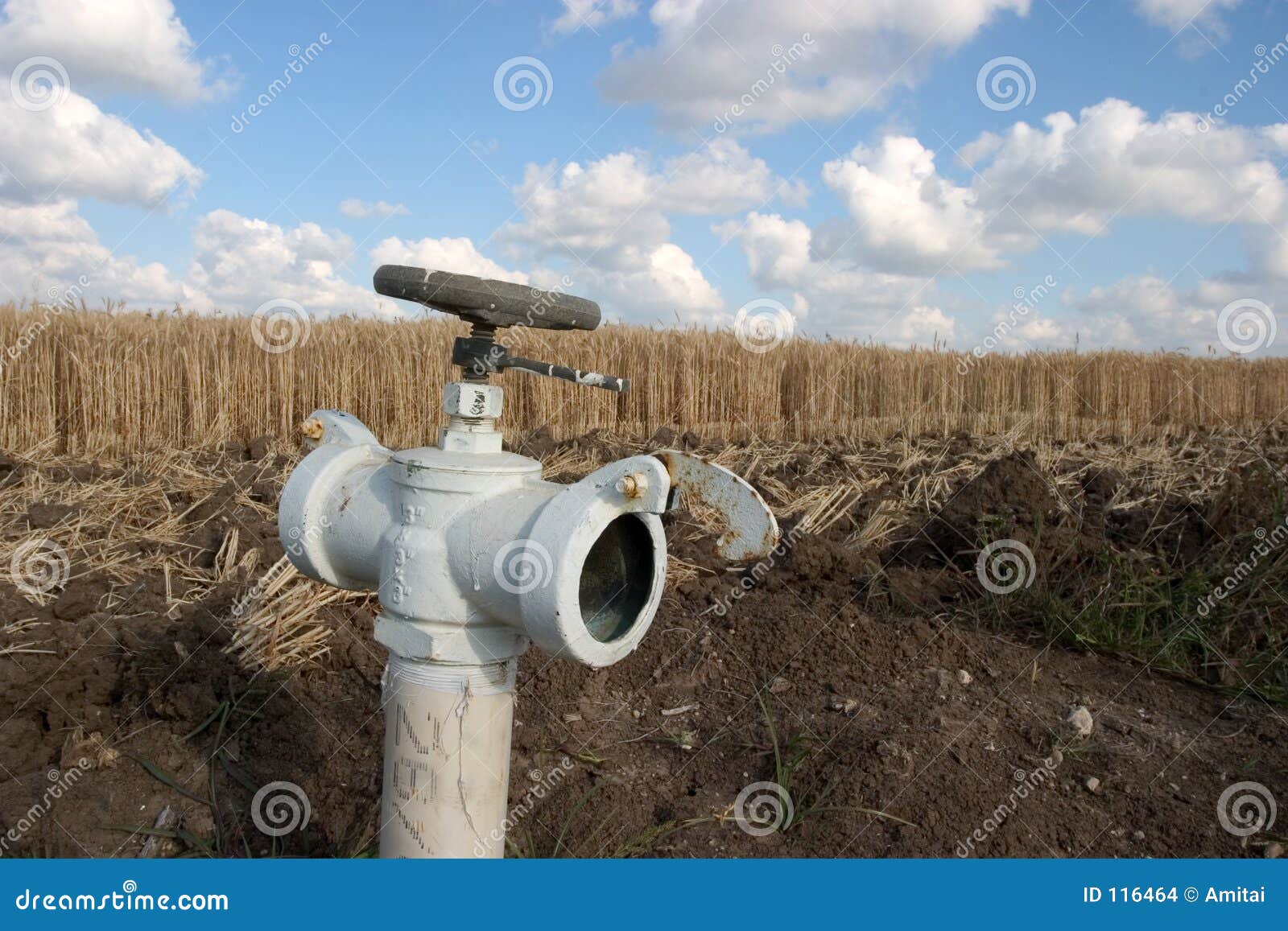 Irrigation Faucet Landscape Framing Stock Photo - Image of watering ...