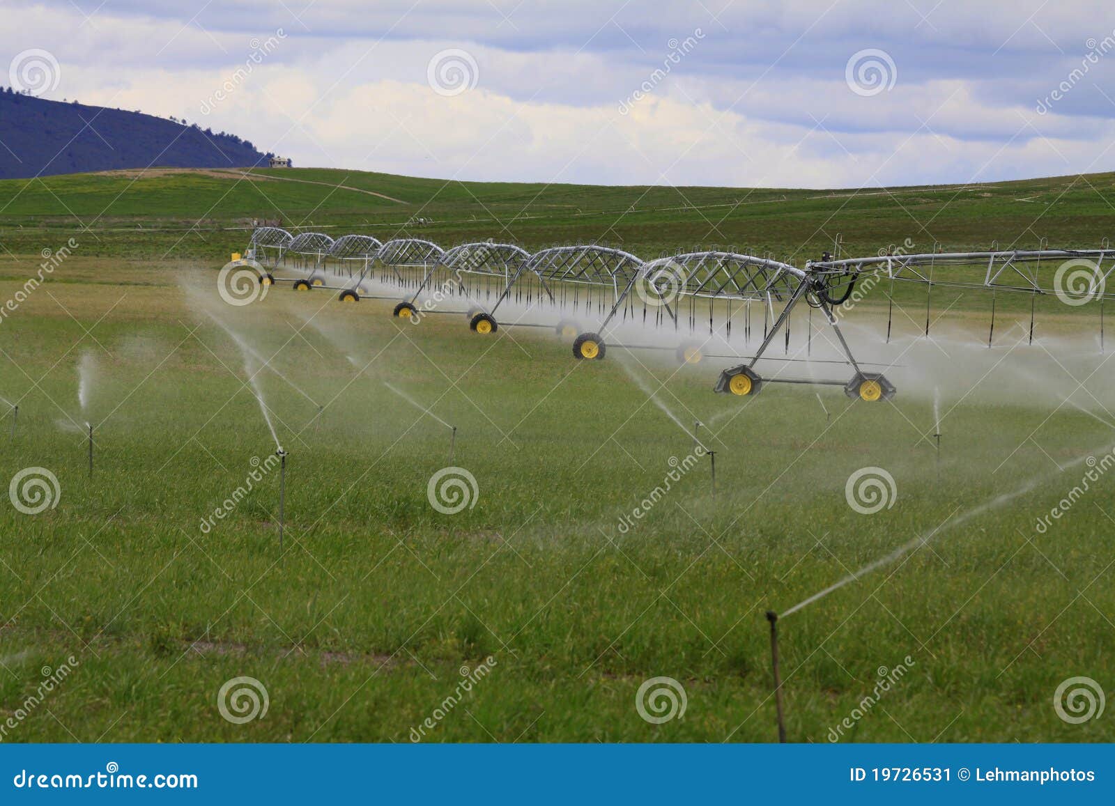 Irrigation Fields and Pivot Sprinklers Stock Image - Image of sprayers ...