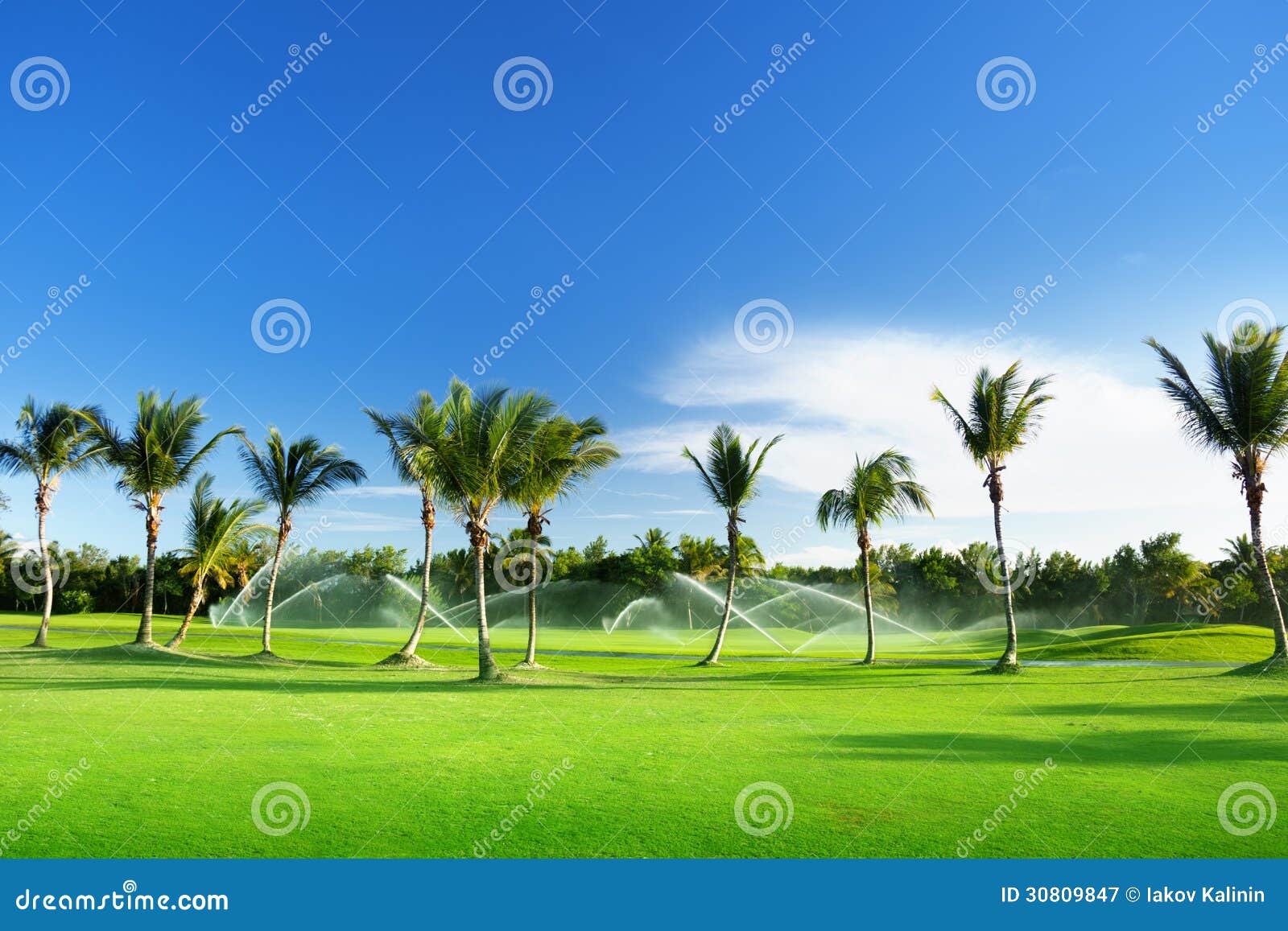 Irrigation golf course stock image. Image of grass, green - 30809847