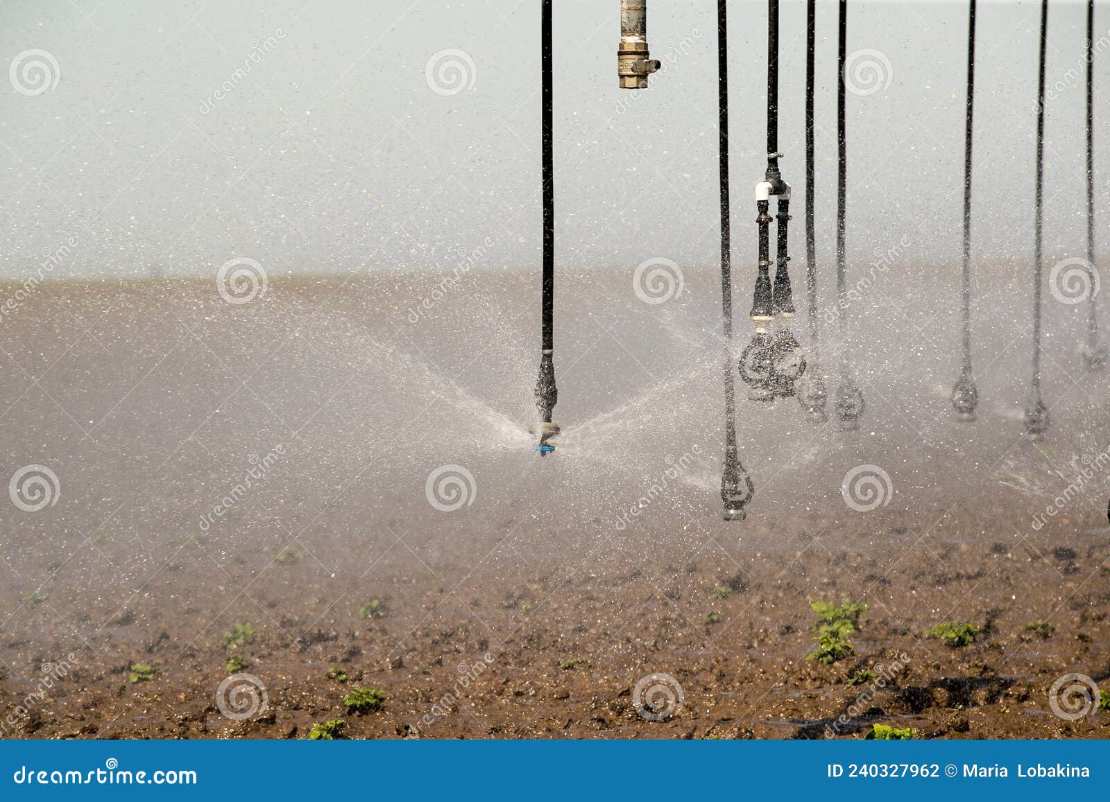 Irrigation Systems, Irrigation Systems, Rain Machine, Water Supply To ...
