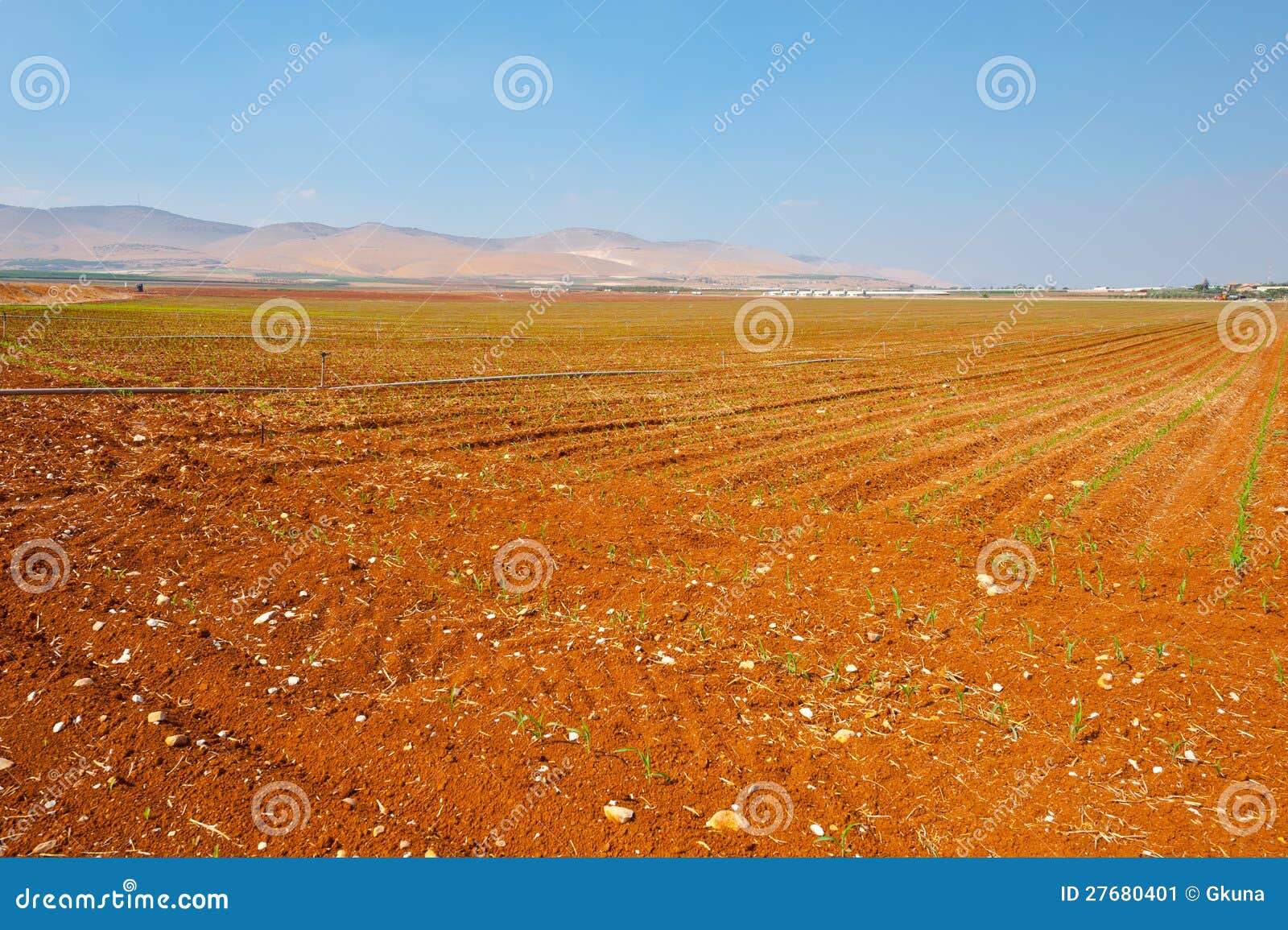 Irrigation in Israel stock image. Image of heat, dirt - 27680401