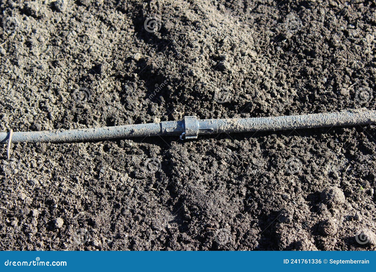 An Irrigation Line Set on a Ground Stock Photo - Image of horticulture ...