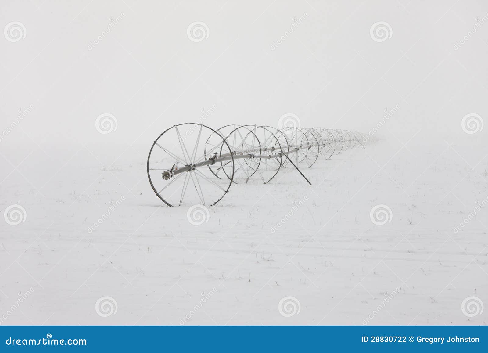 Irrigation pipe in fog. stock photo. Image of natural - 28830722