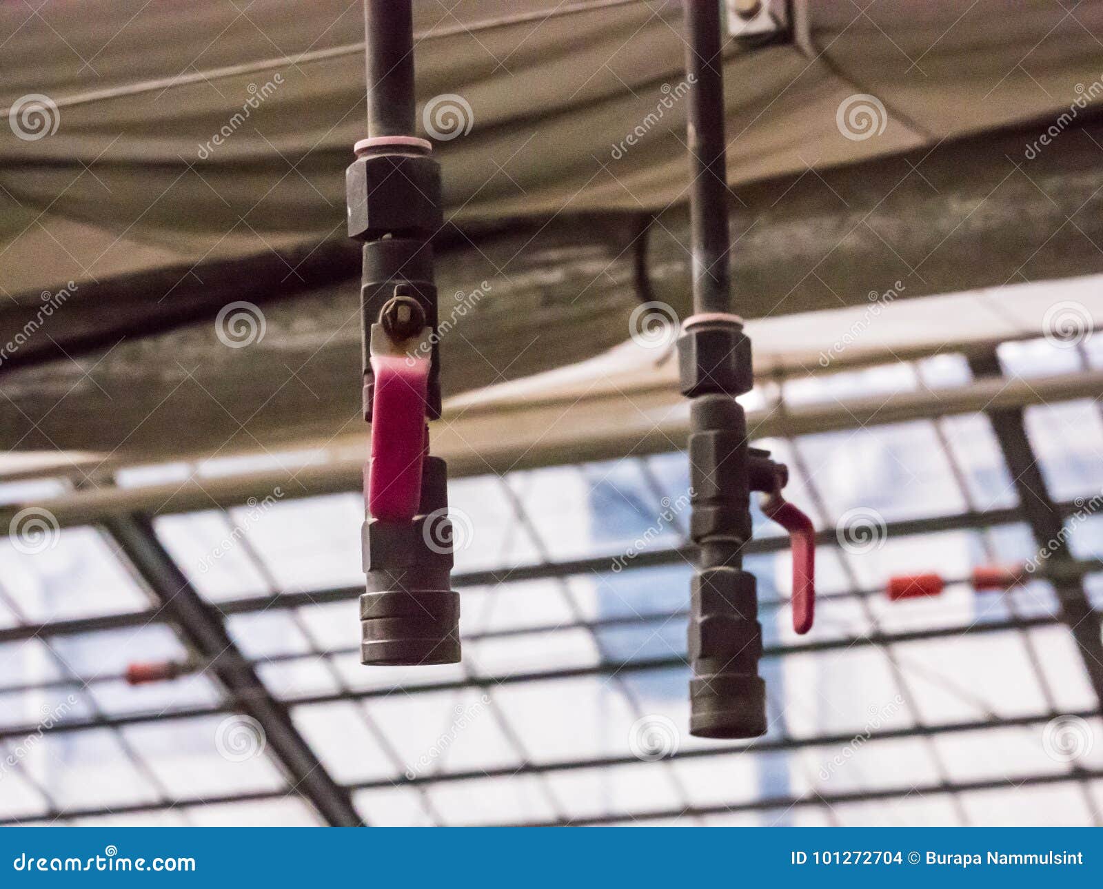 Irrigation pipe line. stock photo. Image of organic - 101272704