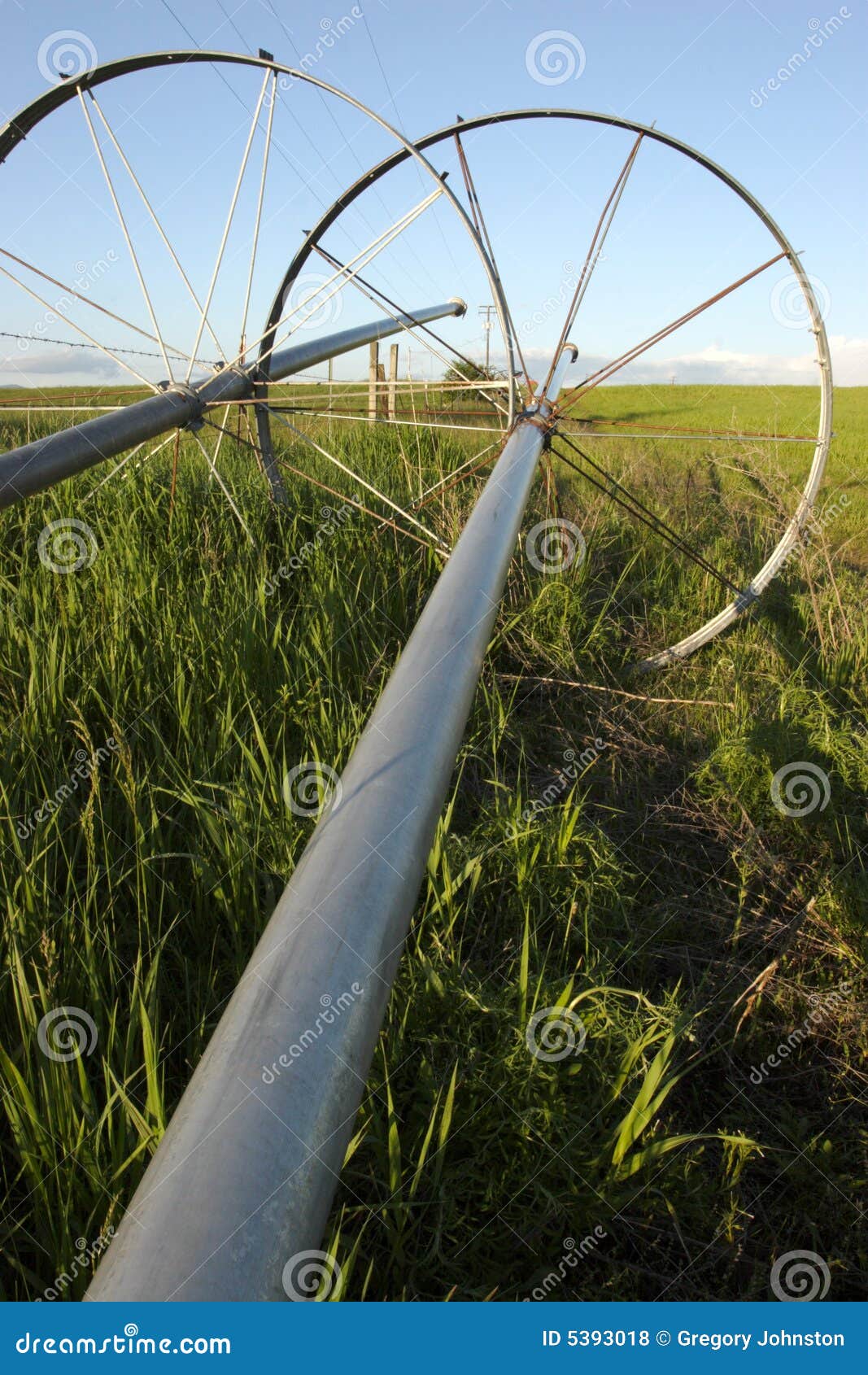 Irrigation Pipes And Wheels. Picture Image: 5393018