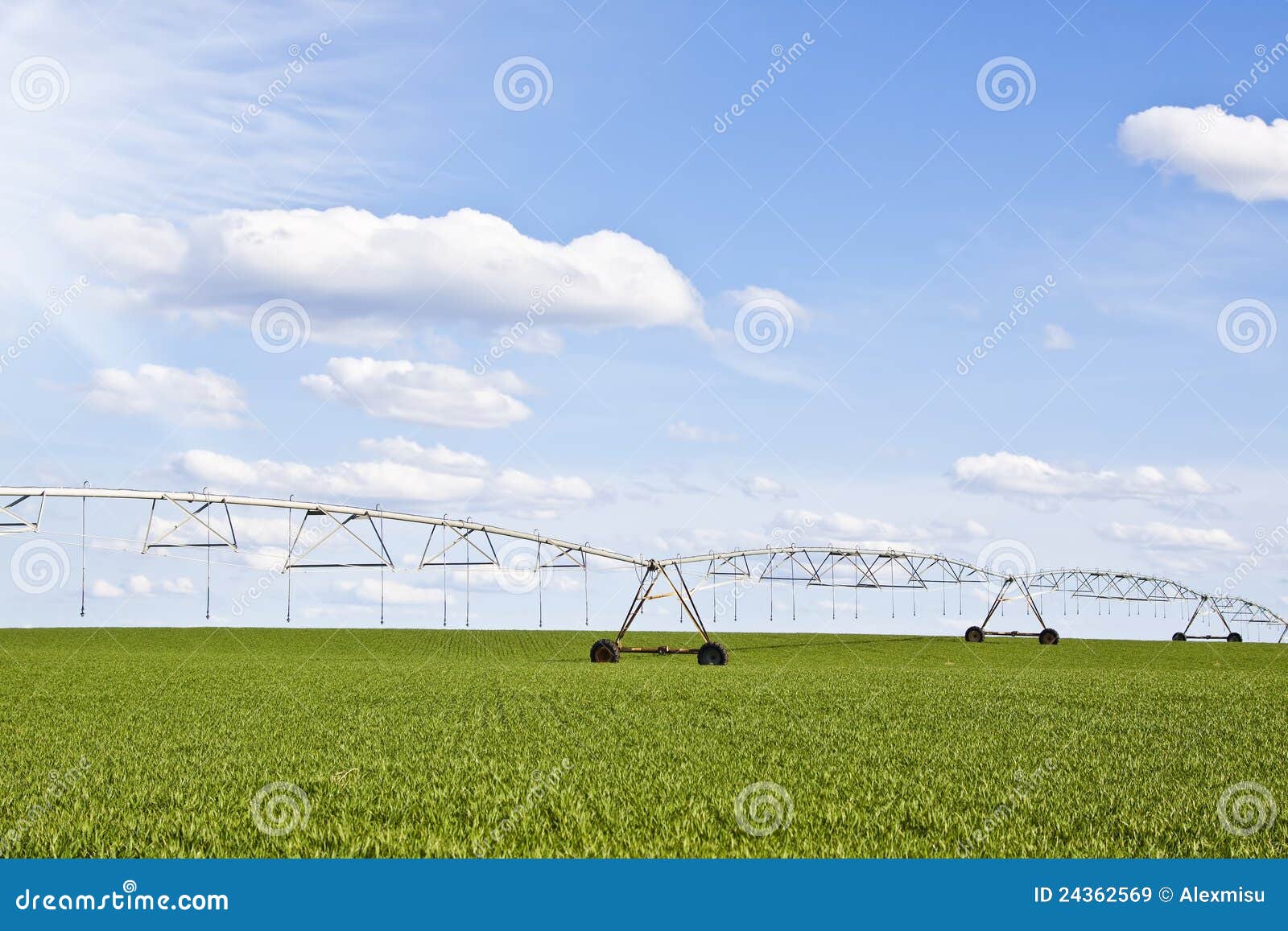Irrigation pivot stock image. Image of field, water, turnip - 24362569
