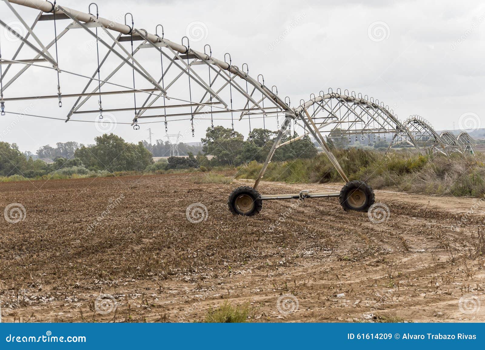 Irrigation Pivot System Stock Photos - Download 1,609 Royalty Free Photos