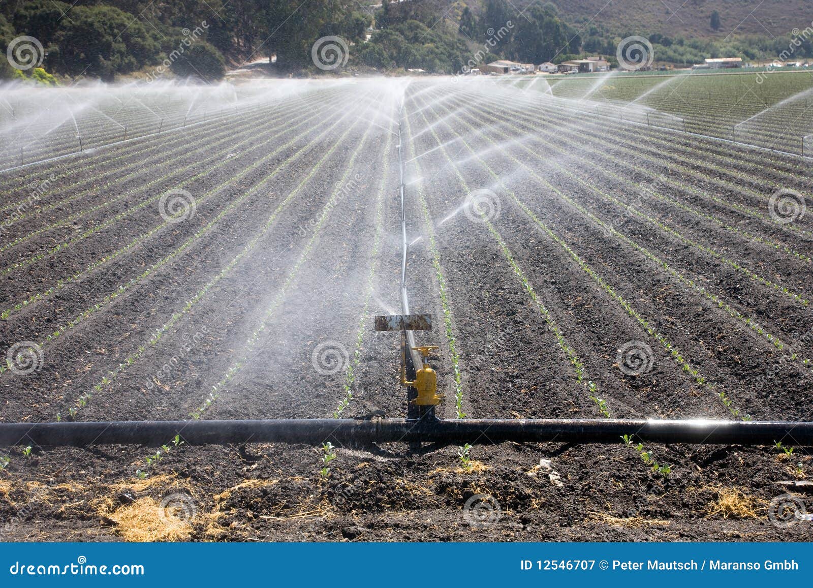 Irrigation plant stock image. Image of daytime, blast - 12546707