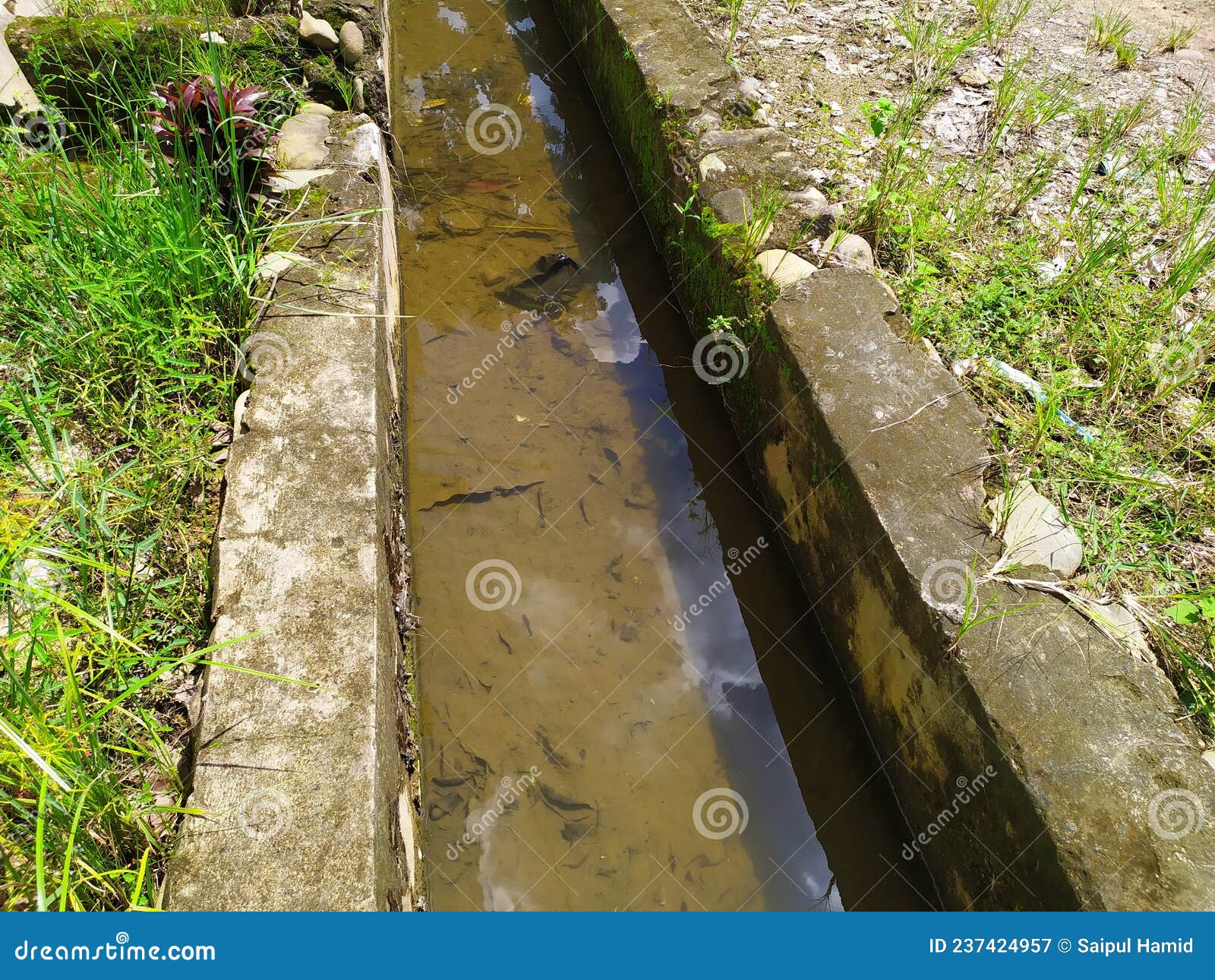 Irrigation of Rainwater Reservoirs in Front of the School Stock Image ...