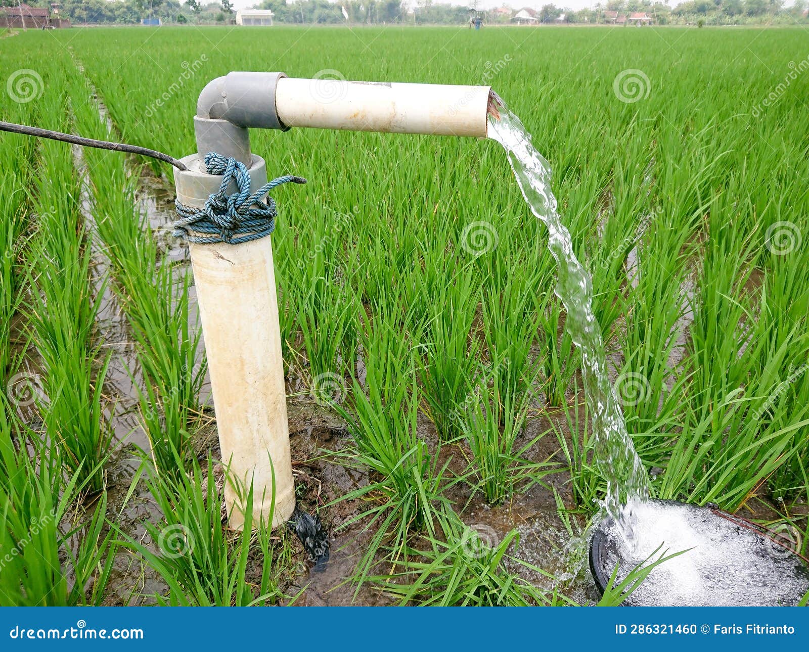 Irrigation of Rice Fields Using Pump Wells with the Technique of ...