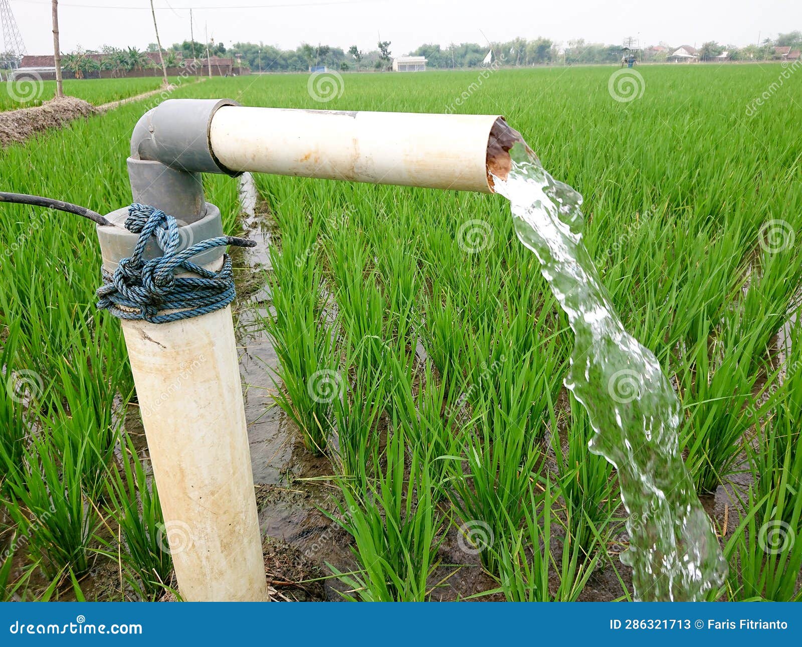 Irrigation of Rice Fields Using Pump Wells with the Technique of ...