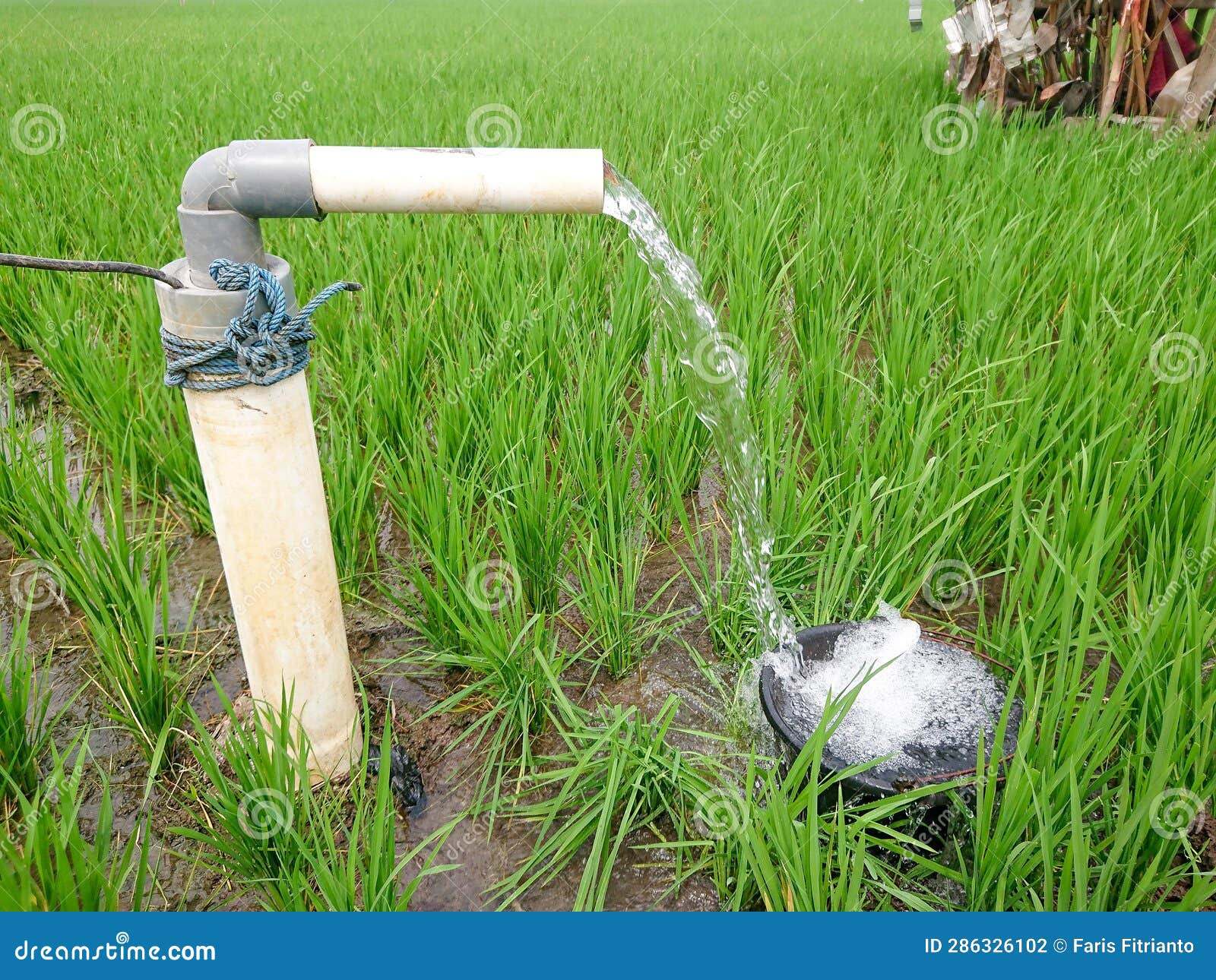 Irrigation of Rice Fields Using Pump Wells with the Technique of ...