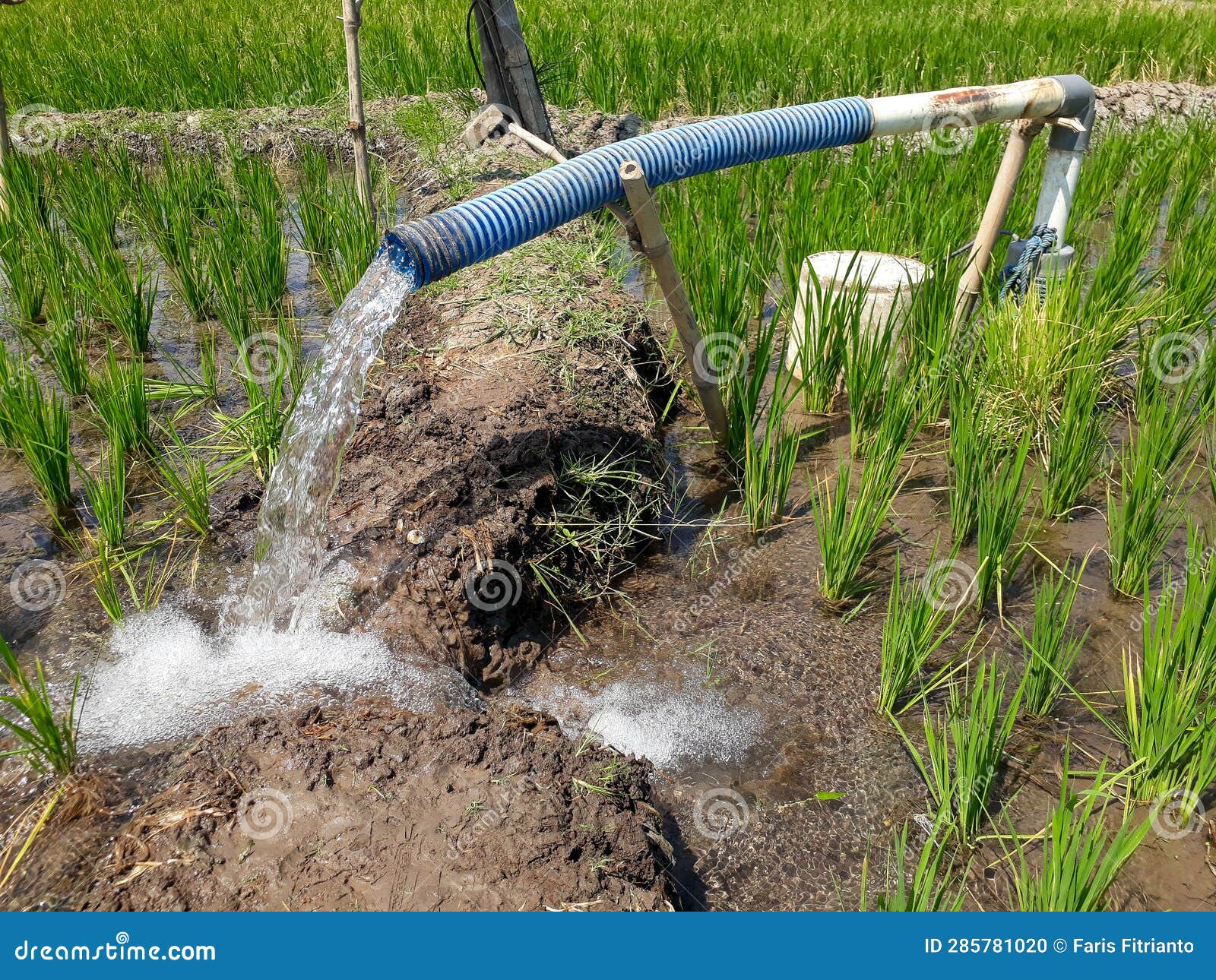 Irrigation of Rice Fields Using Pump Wells with the Technique of ...