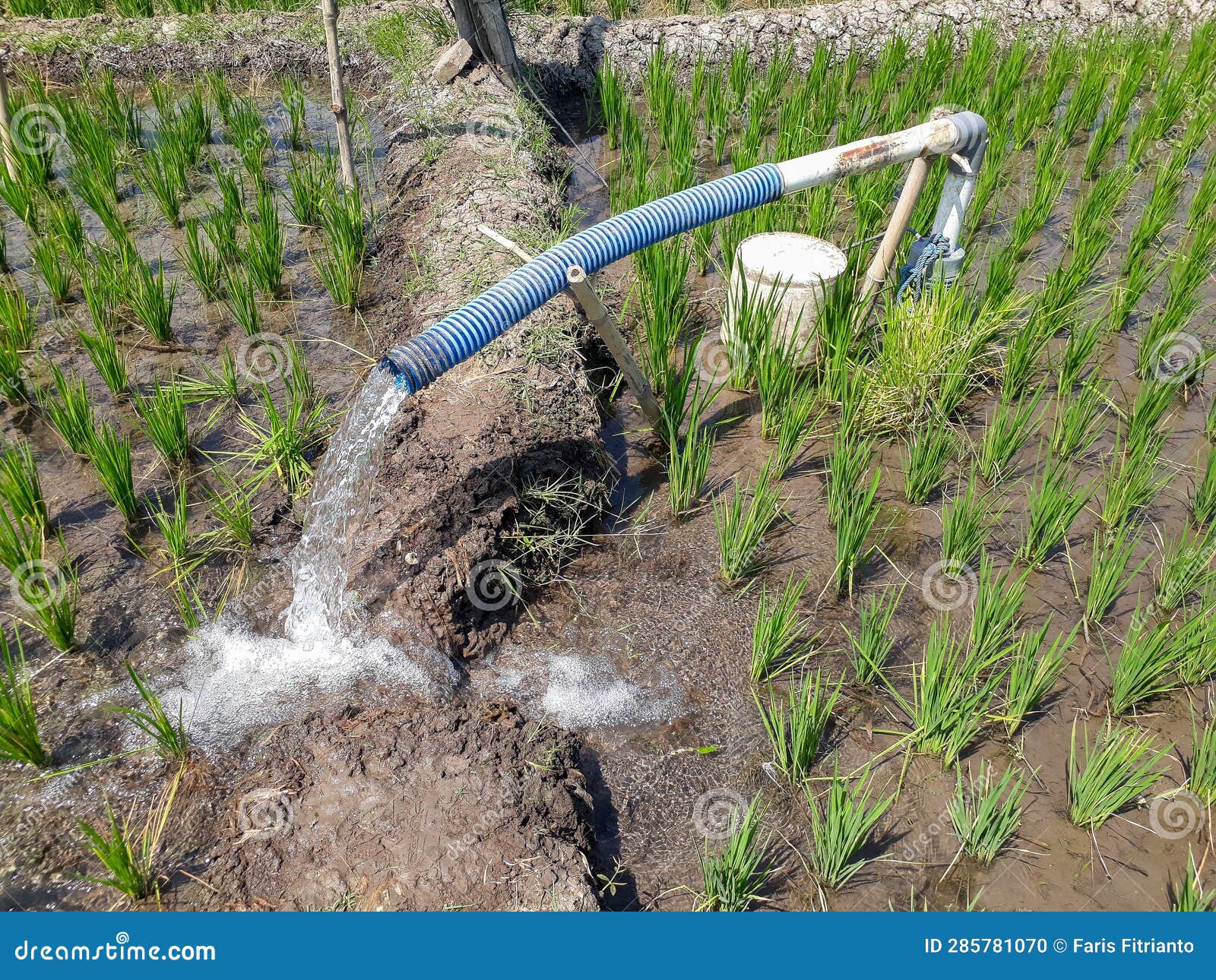 Irrigation of Rice Fields Using Pump Wells with the Technique of ...