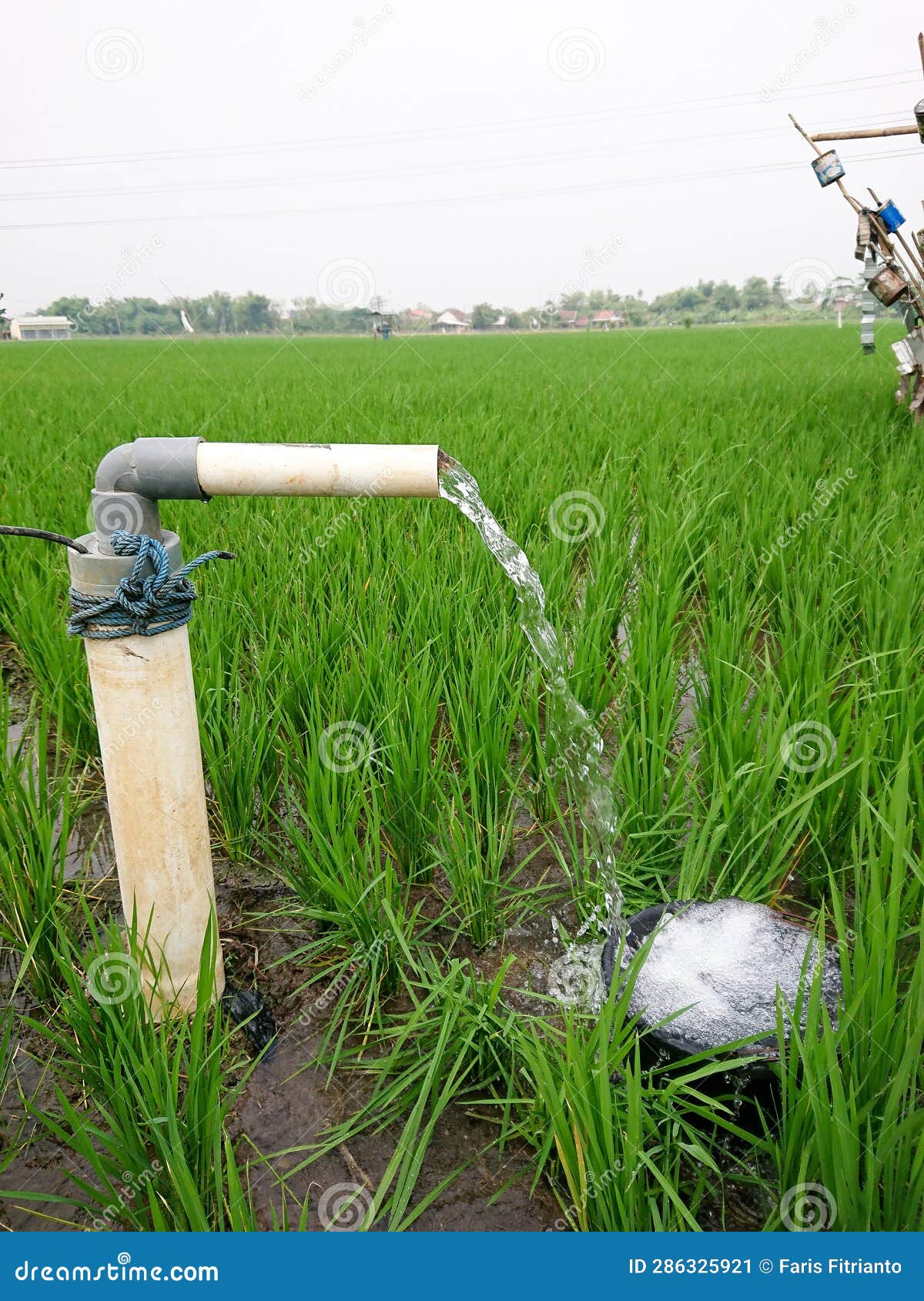 Irrigation of Rice Fields Using Pump Wells with the Technique of ...