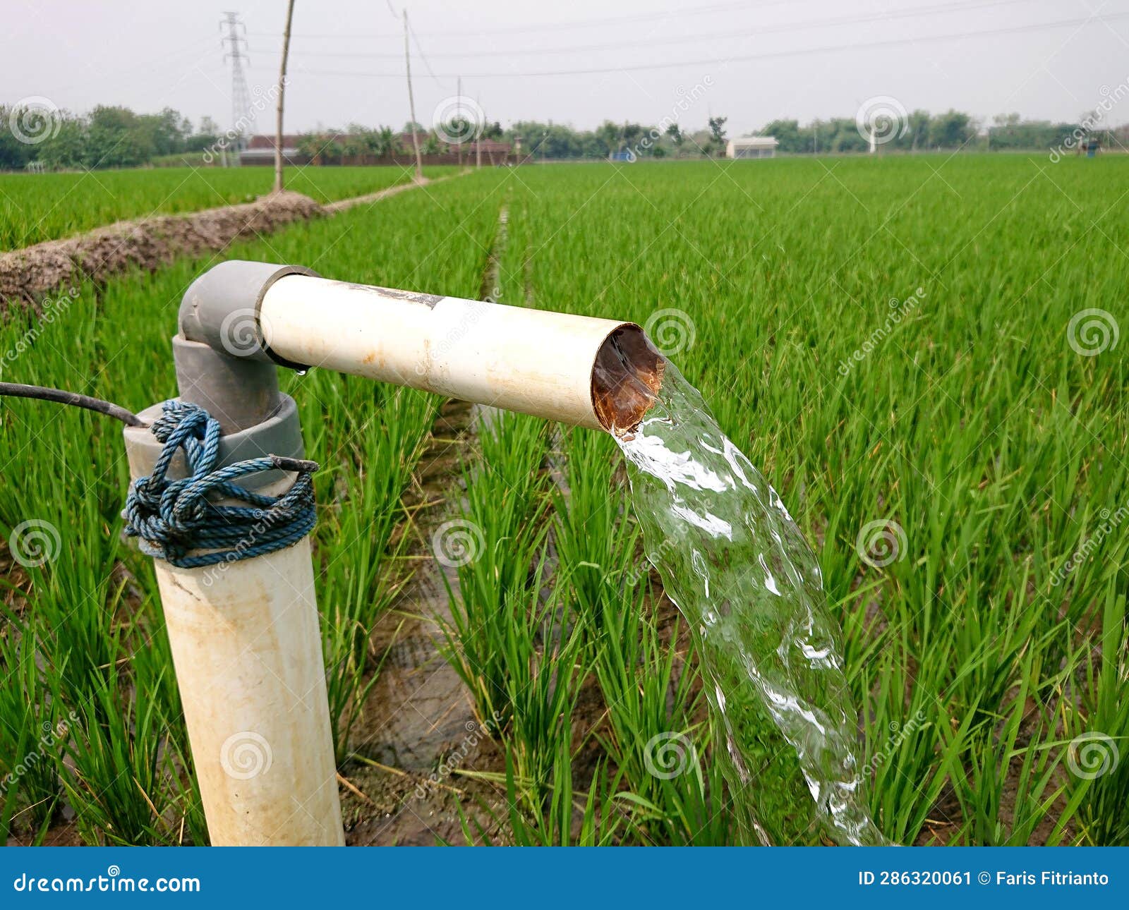 Irrigation of Rice Fields Using Pump Wells with the Technique of ...