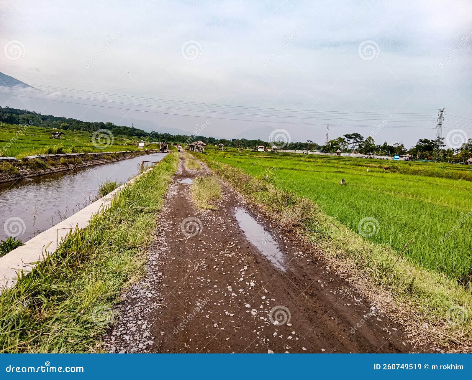 Irrigation Rivers and Roads that are in Accordance with the Management ...