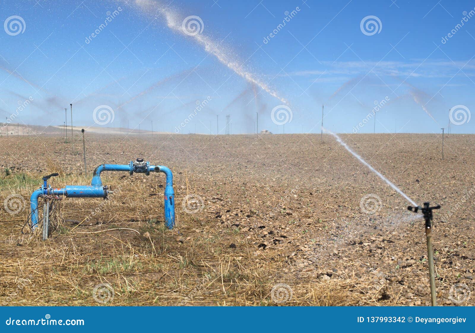 Irrigation Sprayers in the Field Stock Photo - Image of cultivated ...