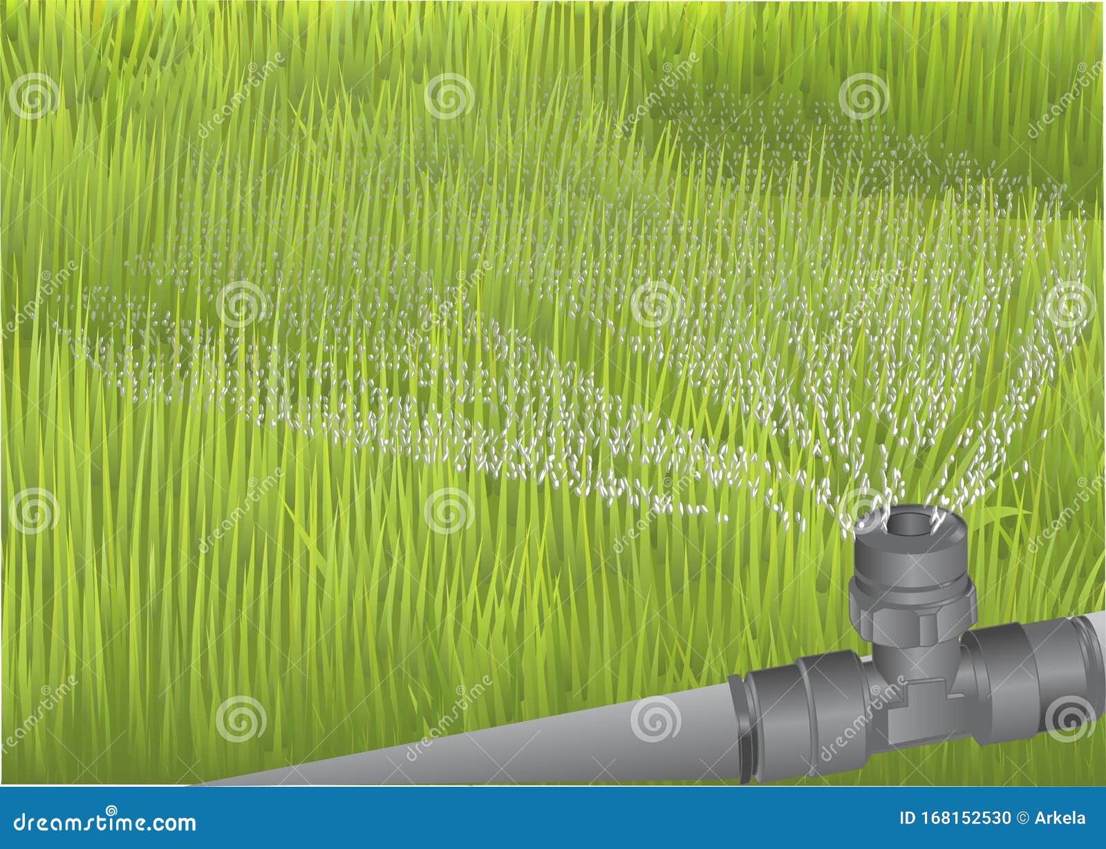Irrigation. Sprinkler of Automatic Watering Stock Illustration ...