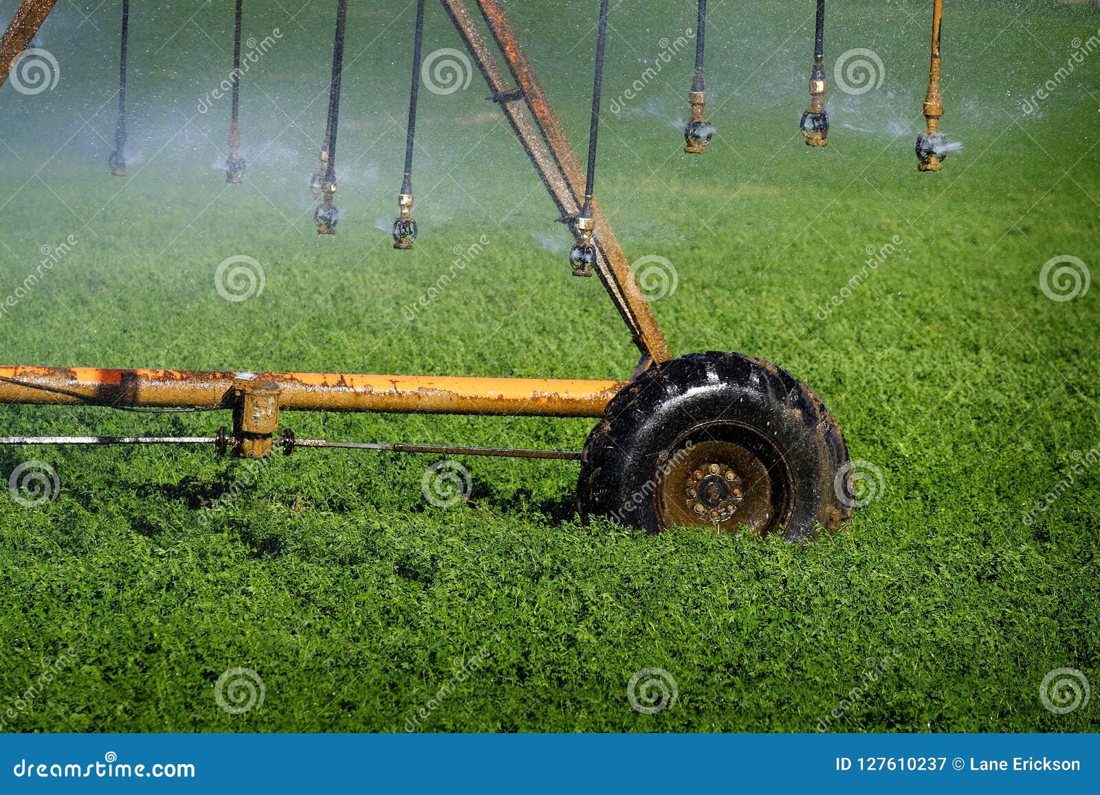 Irrigation Sprinklers Watering Fields for Farming Stock Image - Image ...