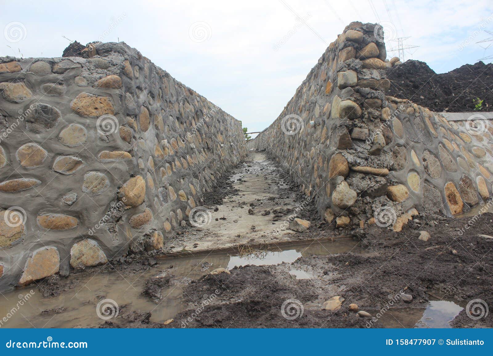 Irrigation Structure of Rice Fields beside the Road Stock Image - Image ...