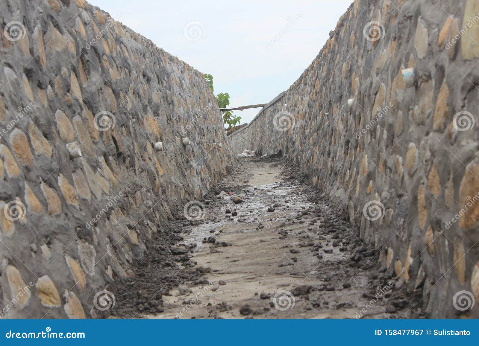 Irrigation Structure of Rice Fields beside the Road Stock Image - Image ...