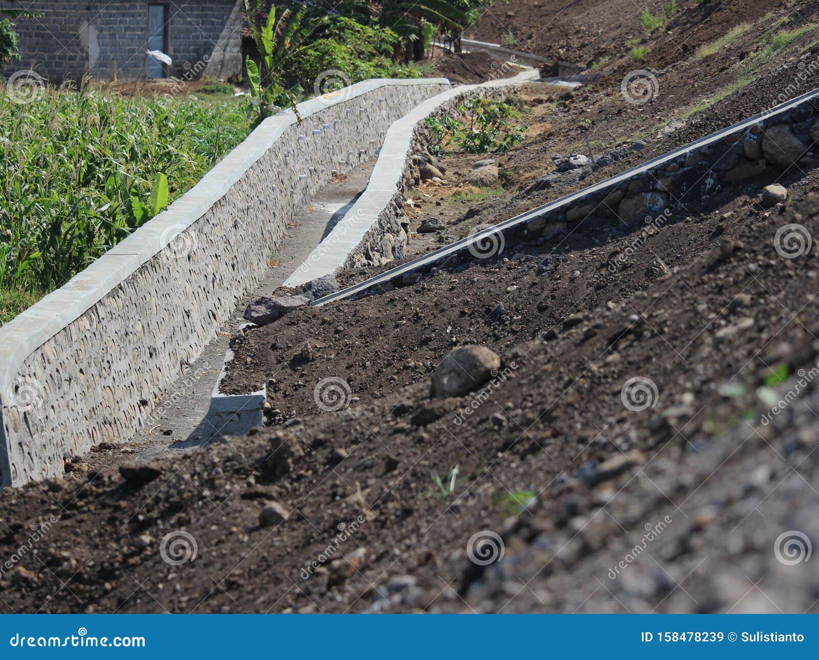 Irrigation Structure of Rice Fields beside the Road Stock Image - Image ...