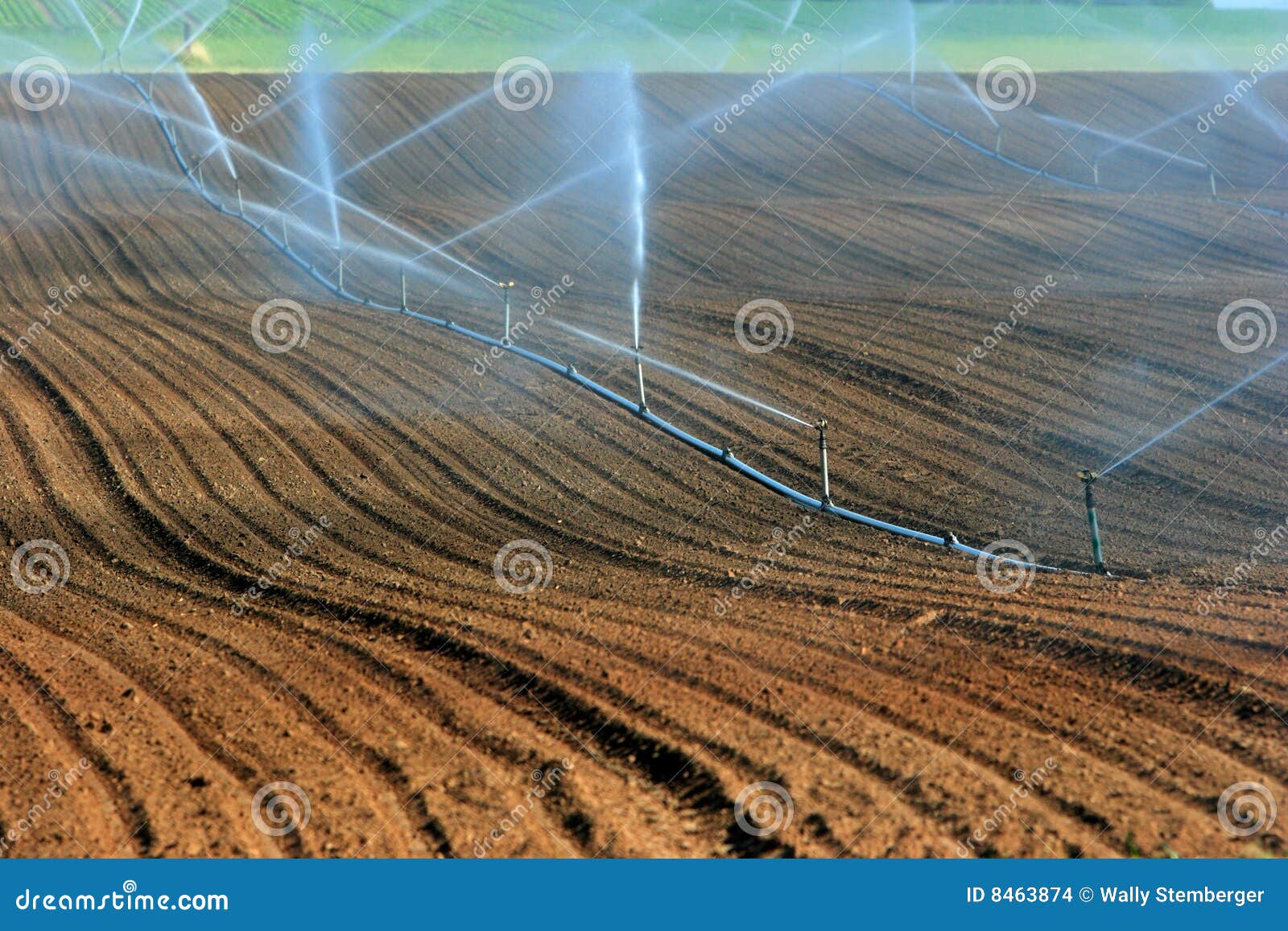 Irrigation System - Garden Automatic Watering System And Pipe. Royalty ...