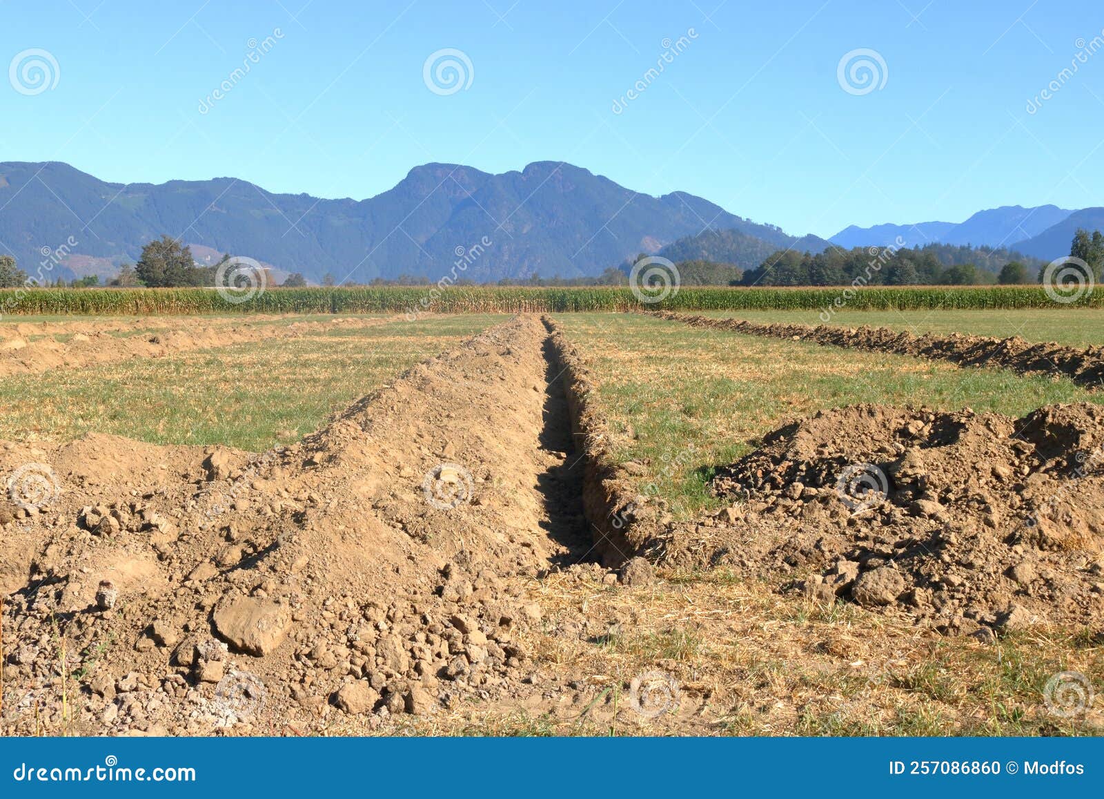 Irrigation System Construction on Farm Stock Photo - Image of outdoors ...