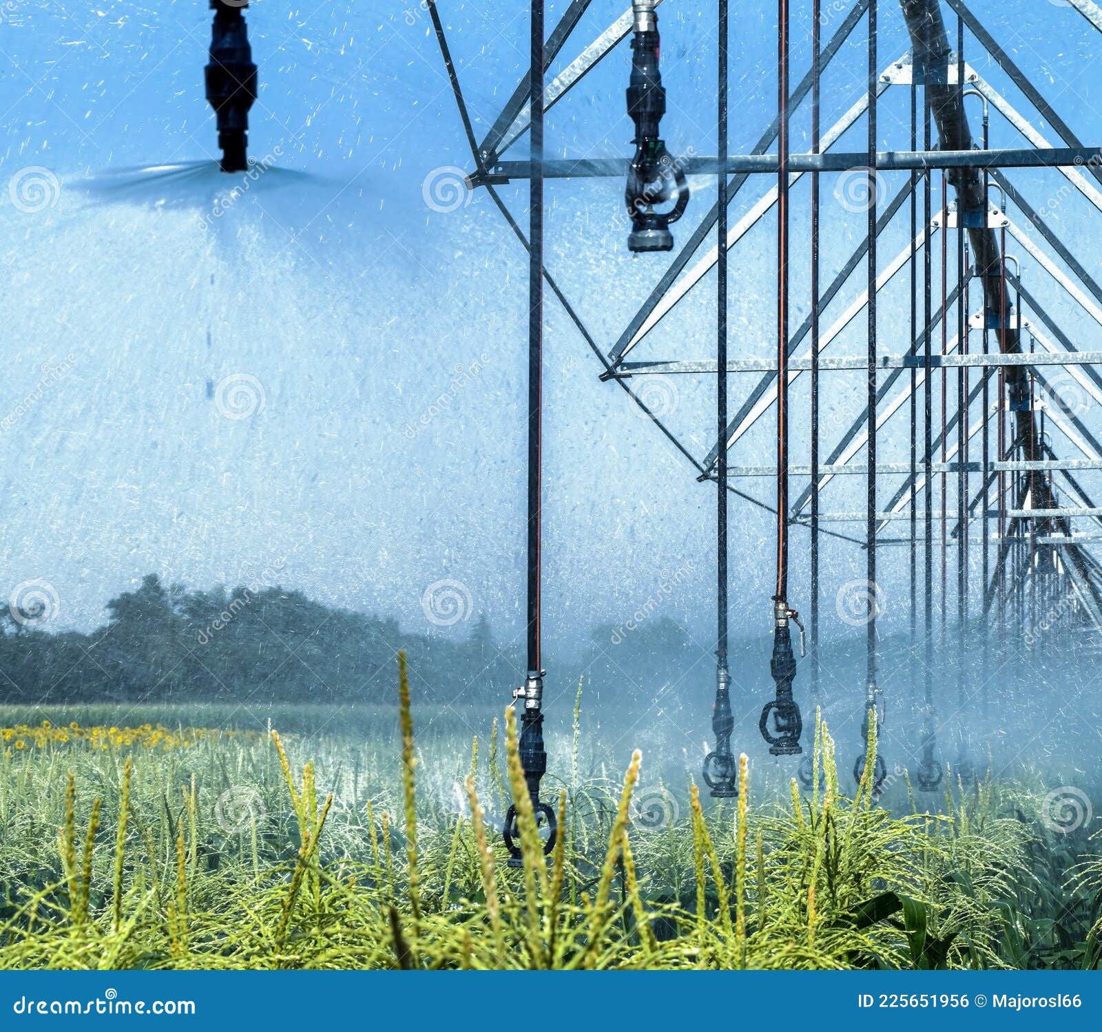 Irrigation System on the Corn Field Stock Photo - Image of cultivated ...