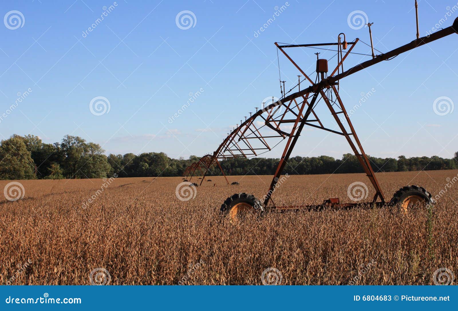 Irrigation system on field stock image. Image of sprinkler - 6804683