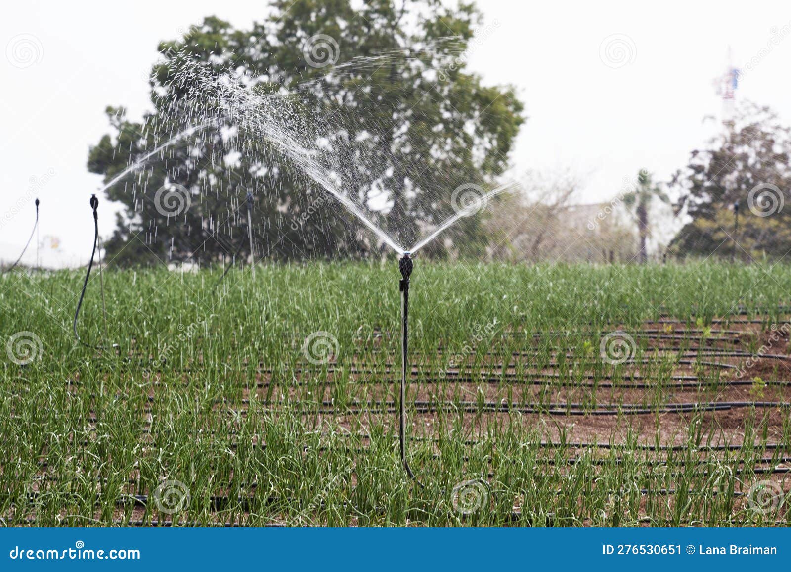 Irrigation System in the Field Stock Image - Image of system, soil ...