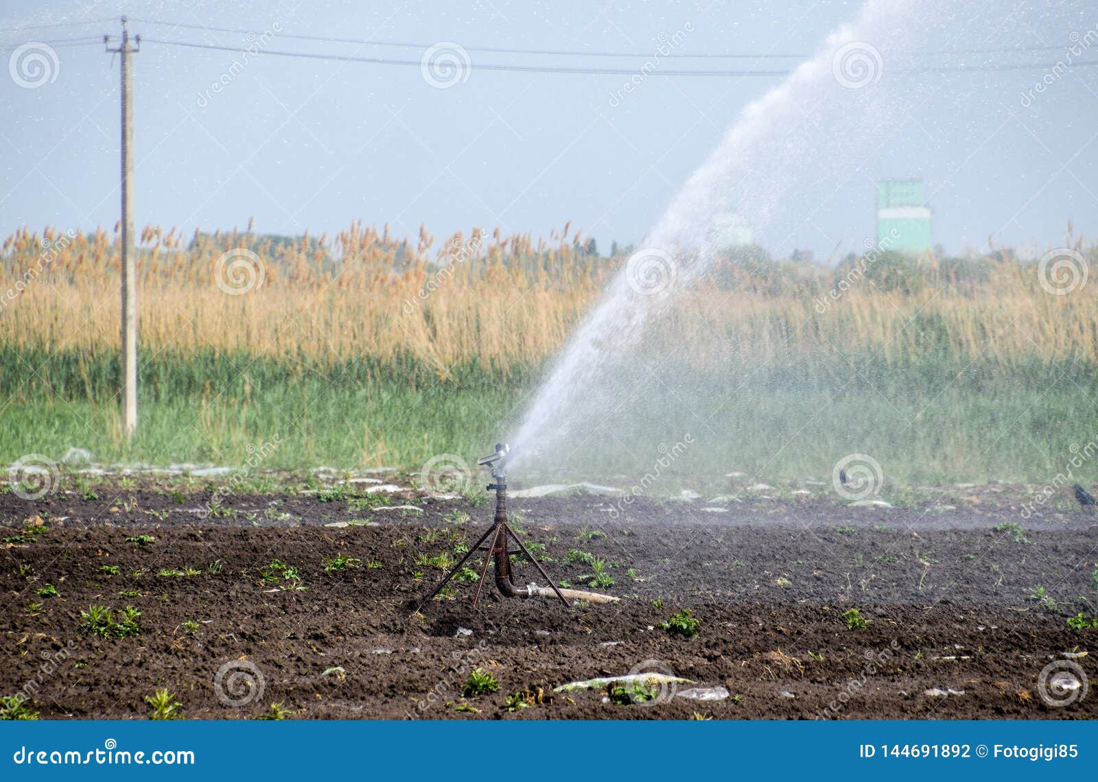 Irrigation System in Field of Melons. Watering the Fields Stock Photo ...
