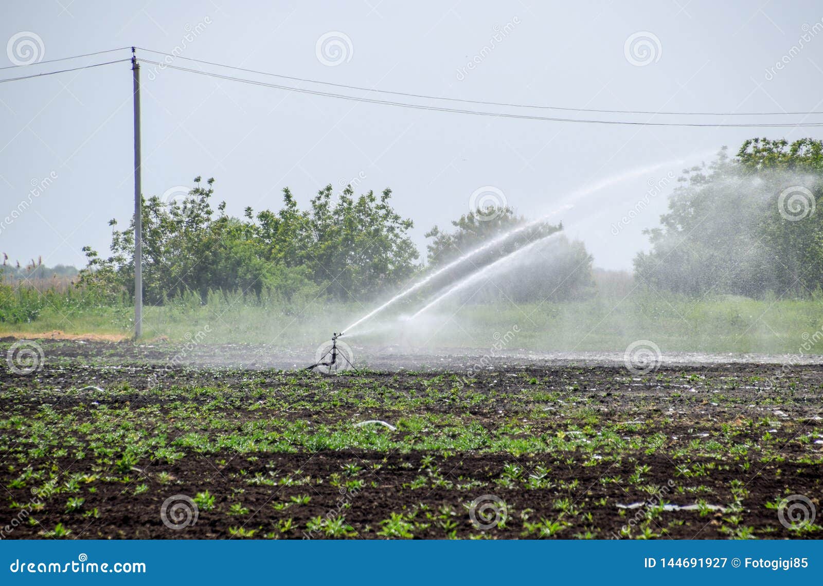 Irrigation System in Field of Melons. Watering the Fields Stock Image ...