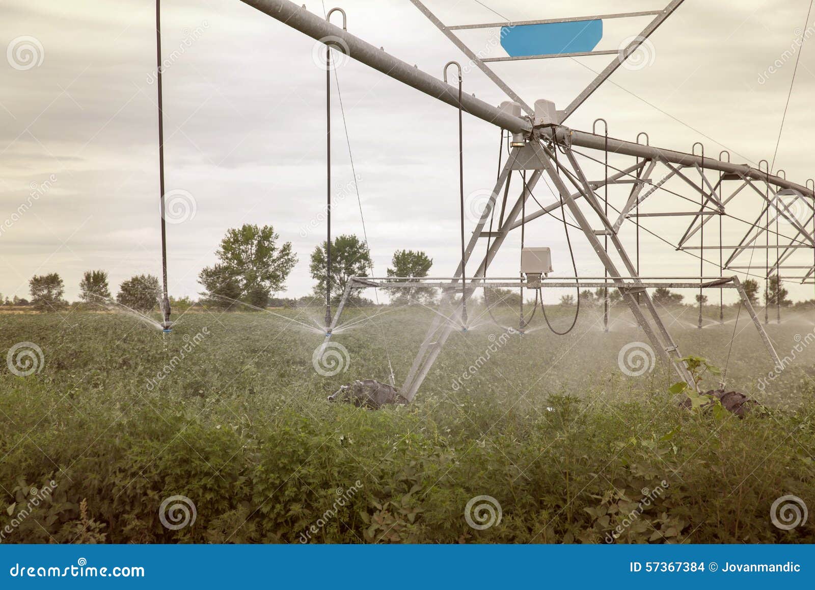 Irrigation System on Green Field Stock Photo - Image of industry, farm ...