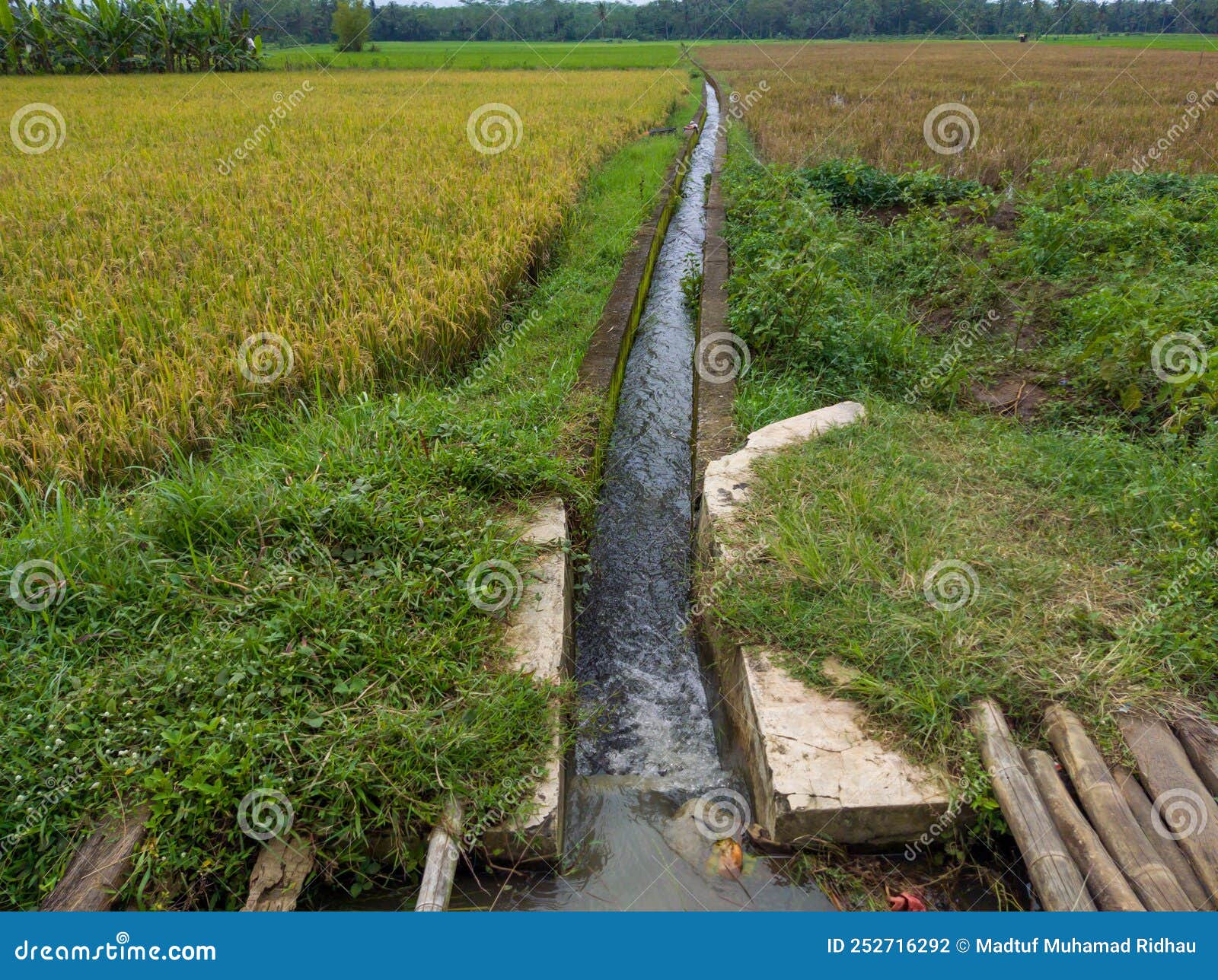 Irrigation System for Irrigating Rice Fields Stock Photo - Image of ...