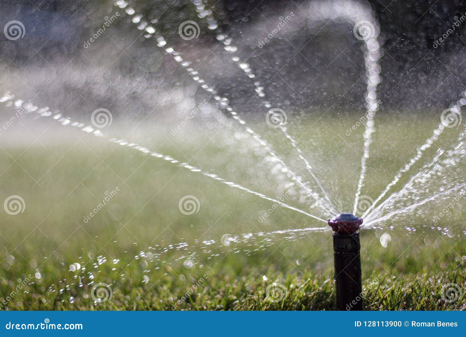 Irrigation system 01 stock photo. Image of waterlily - 128113900