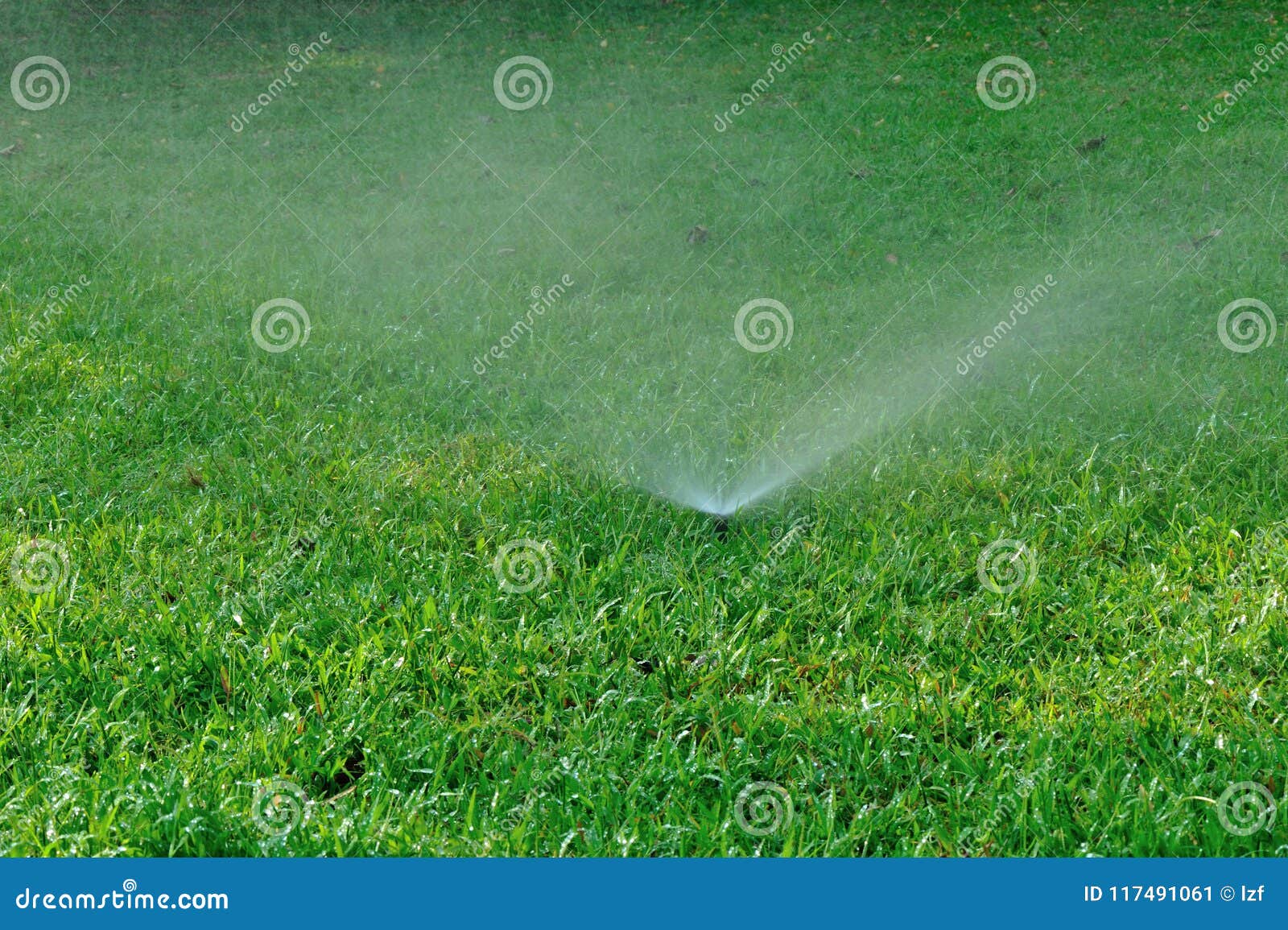 Irrigation System Spray Watering Lawn Stock Image - Image of garden ...