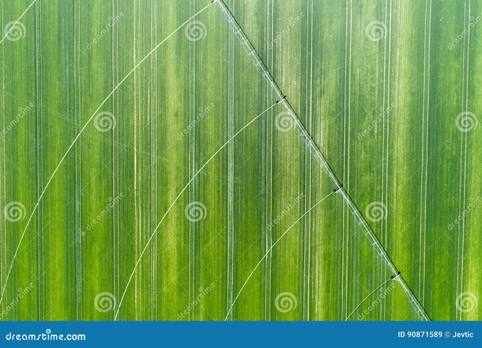 Irrigation System in Wheat Field Stock Image - Image of crop, green ...