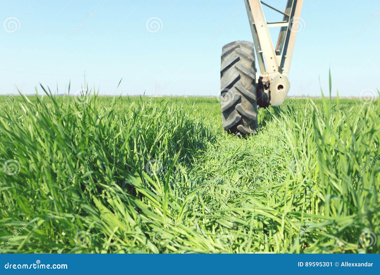 Irrigation System on Wheels. Young Wheat Growing Stock Image - Image of ...