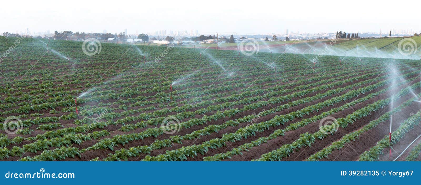Irrigation System at Work stock image. Image of plant - 39282135