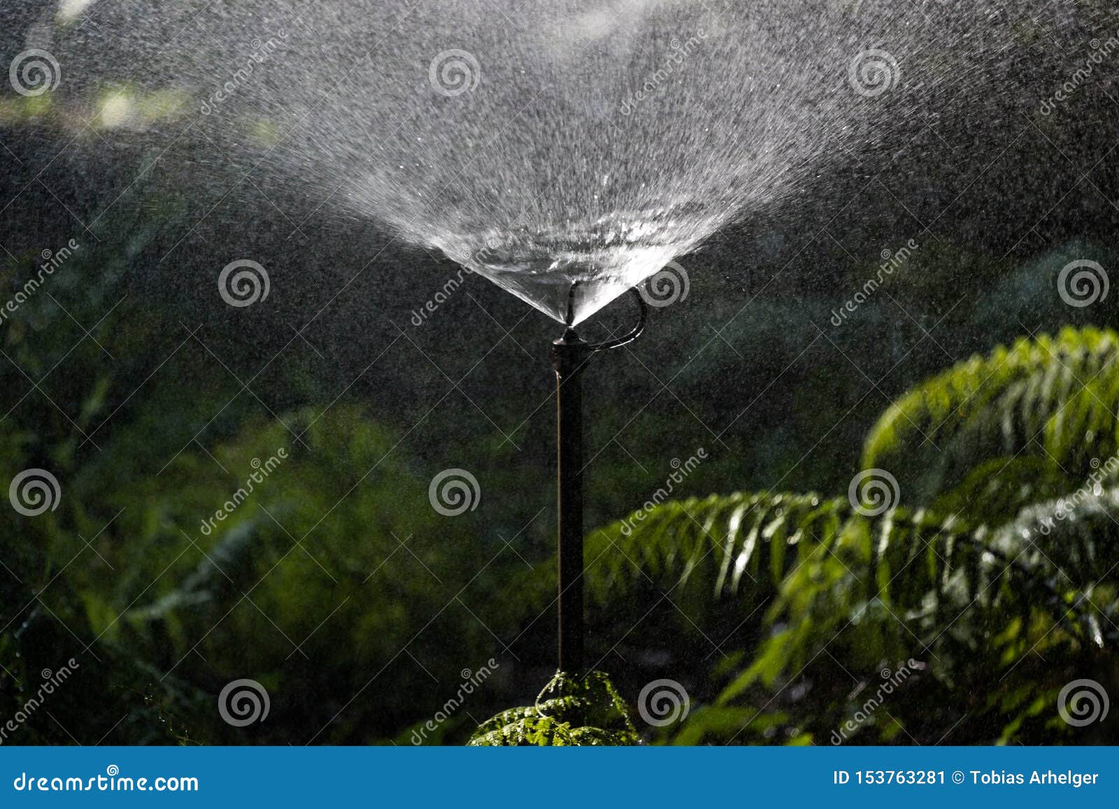 Irrigation System at Work in a Park Stock Image - Image of leaves ...