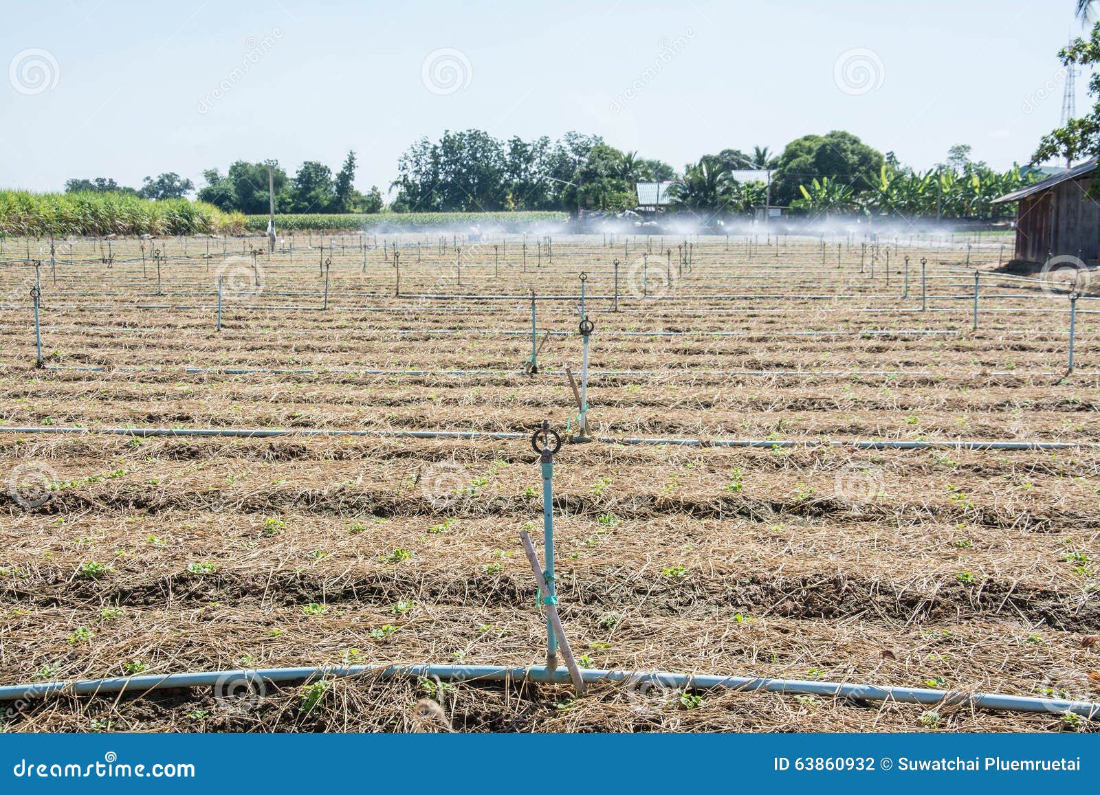 Irrigation Systems in Agricultural Land Stock Photo - Image of green ...