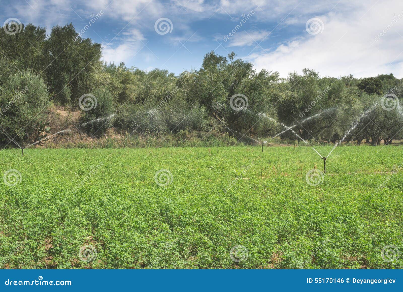 Irrigation systems stock photo. Image of organic, modern - 55170146