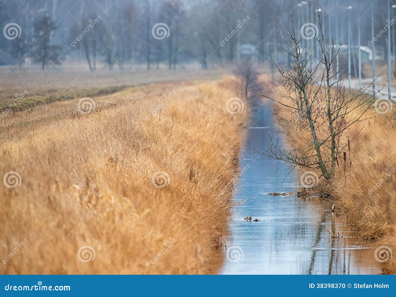 Irrigation Water Channel in a Rural Landscape Stock Photo - Image of ...