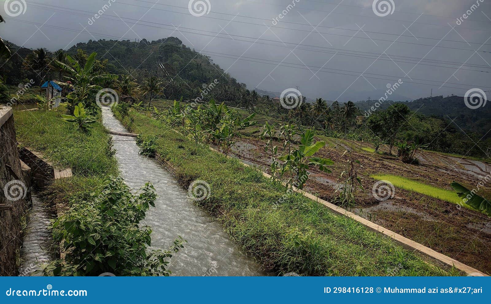 Irrigation Water Channels in Stunning Rice Fields Stock Photo - Image ...