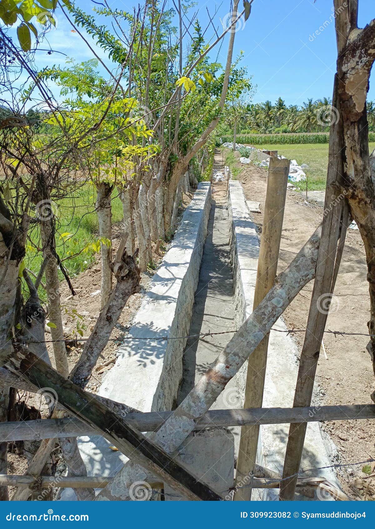 Irrigation water channels stock photo. Image of agricultural - 309923082