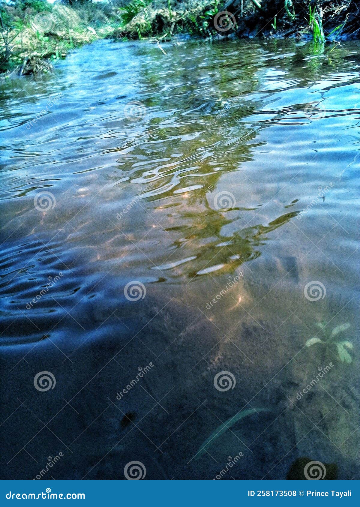 Irrigation Water in a Fallow Capture Stock Photo - Image of fallow ...