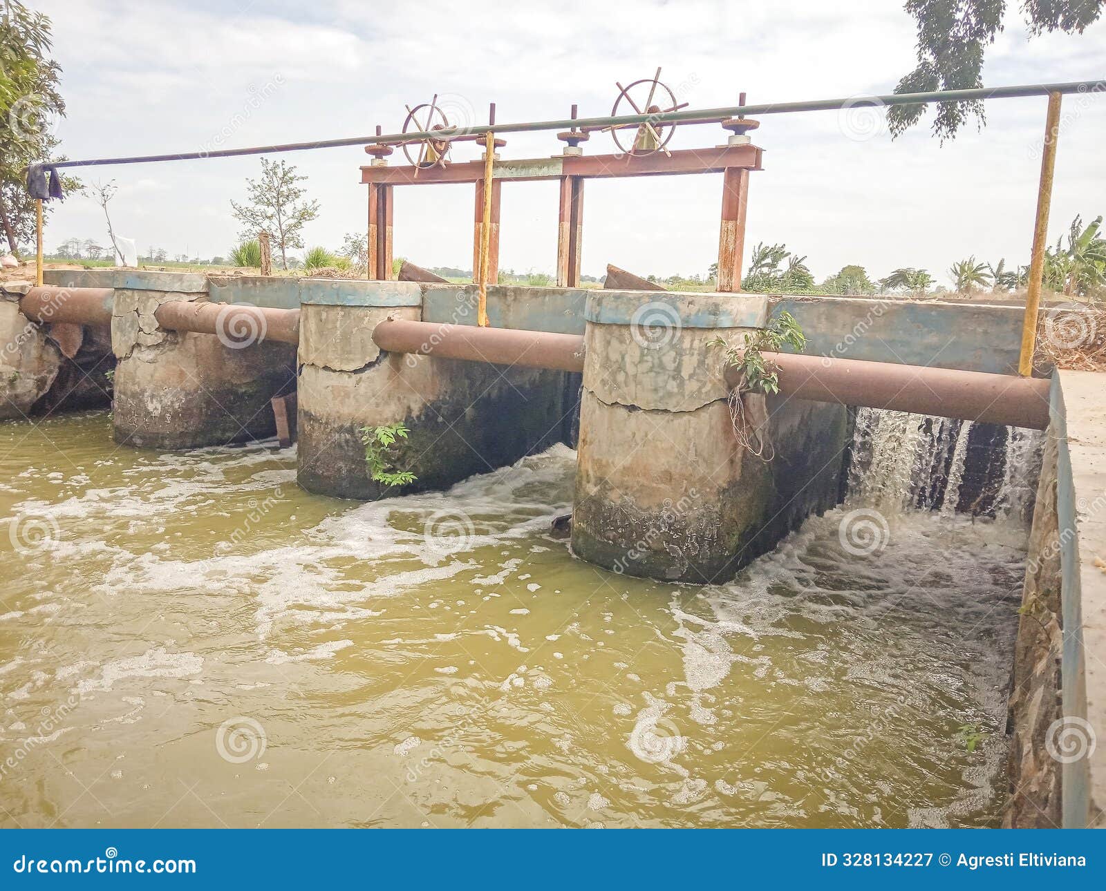 Irrigation Water Gate: Essential Agricultural Infrastructure Stock ...