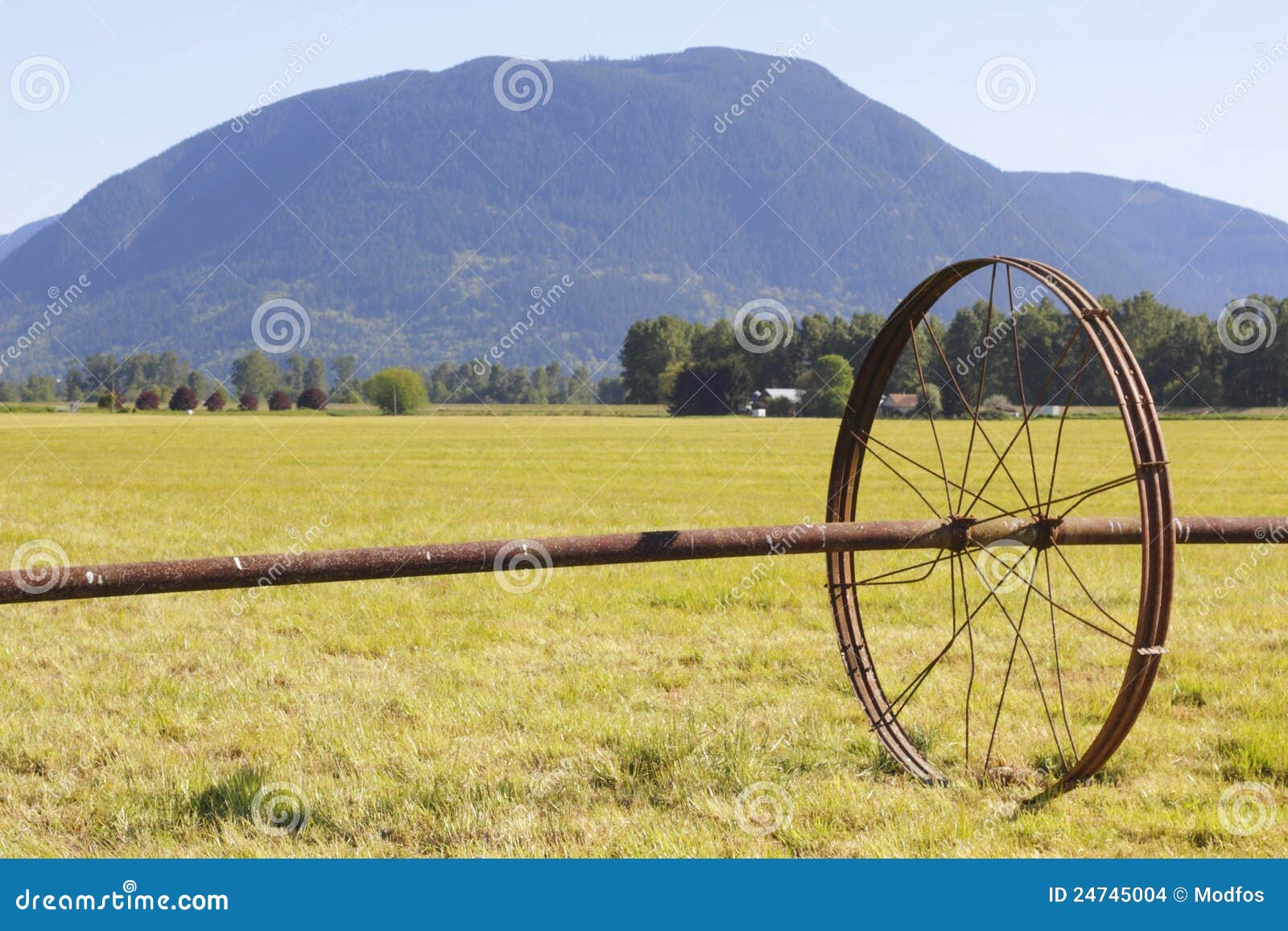 An Irrigation Water Wheel for Farming Stock Photo - Image of green ...